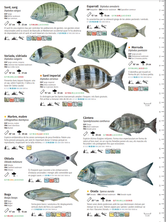 Normativas de pesca recreativa en Catalunya – societat pescadors barcelona